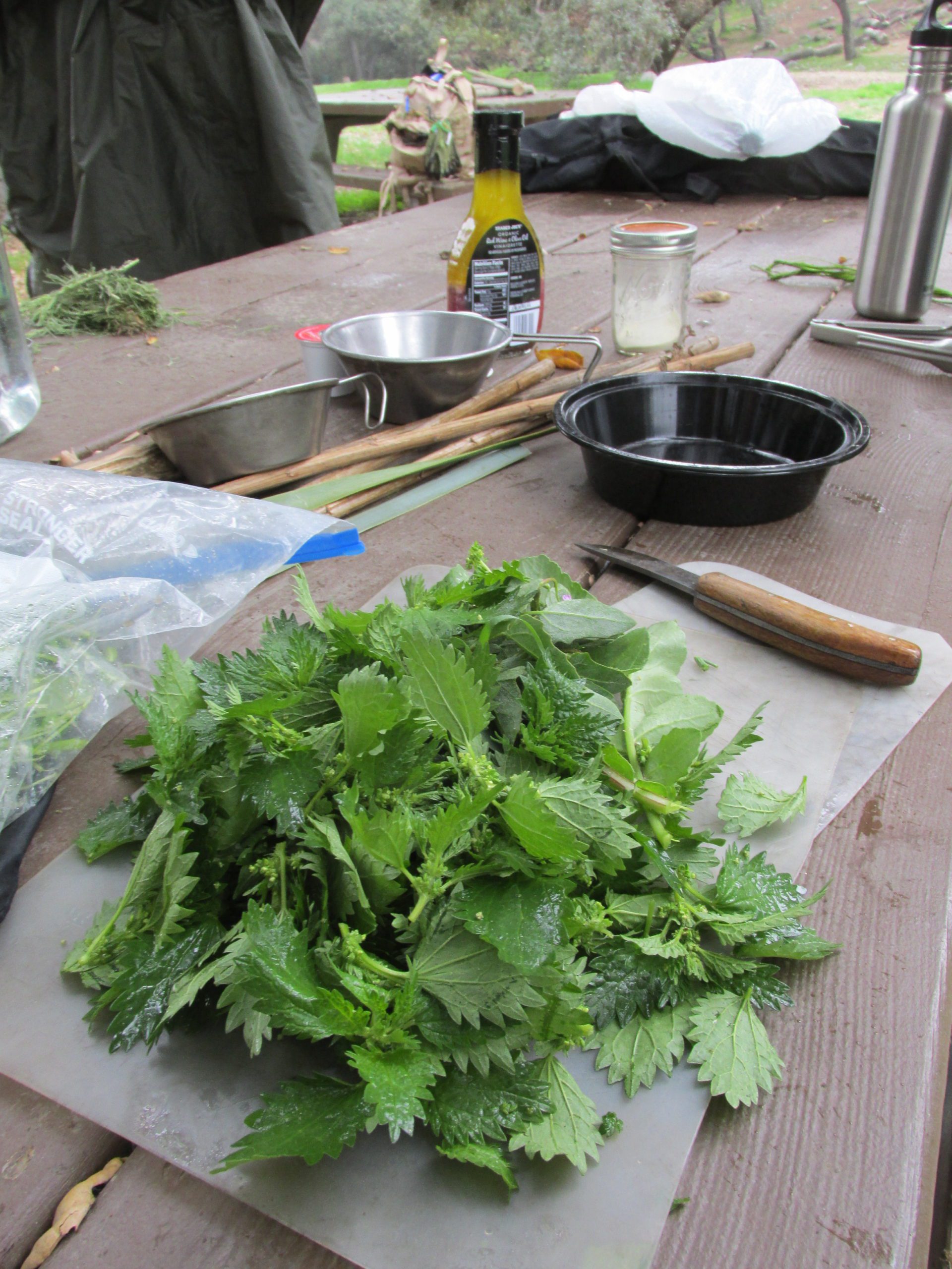 THANKSGIVING SEASON -- WILD FOOD COOKING WORKSHOP -- INCLUDING ACORN ...
