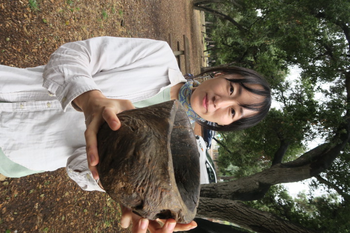 TRADITIONAL CONTAINER WORKSHOP: MAKE A BURN-BOWL – School of Self-Reliance
